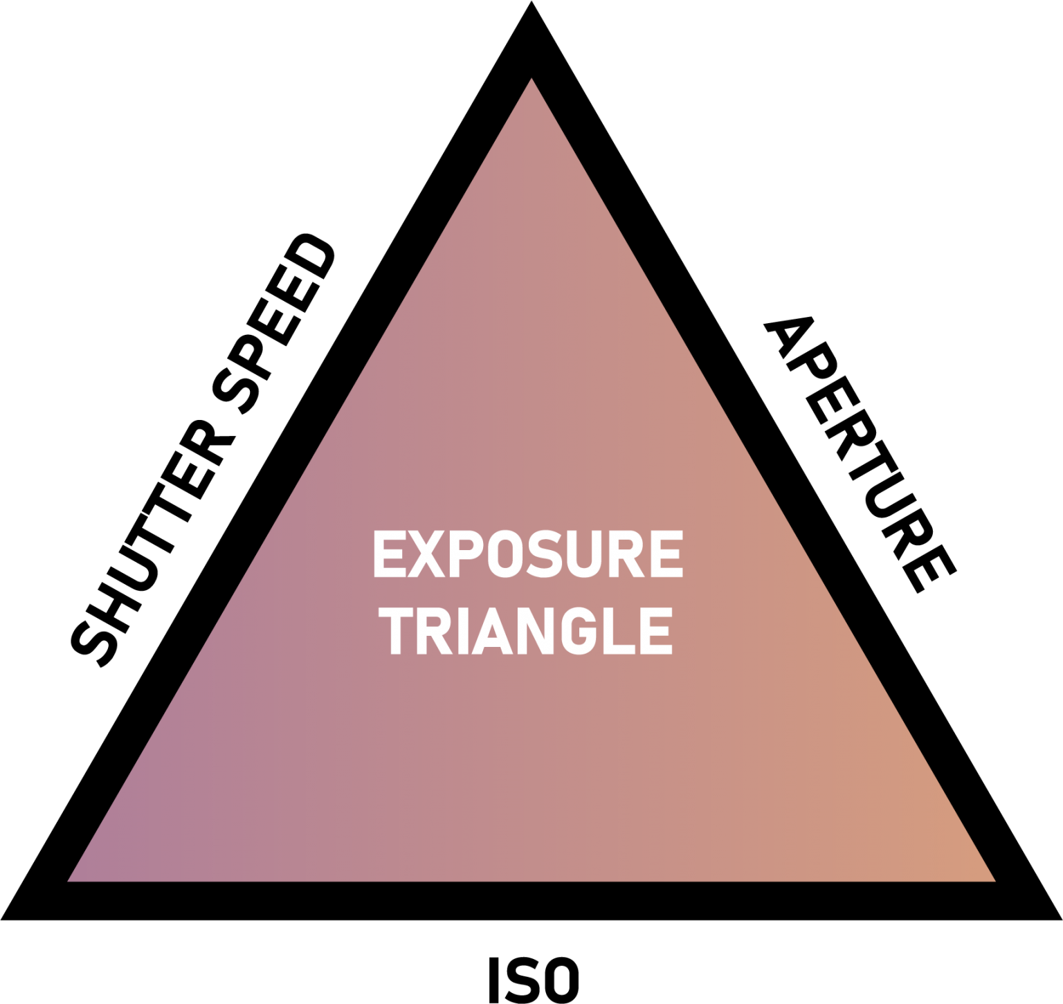 Understand your Camera - An In-Depth Guide - MediaEquipt
